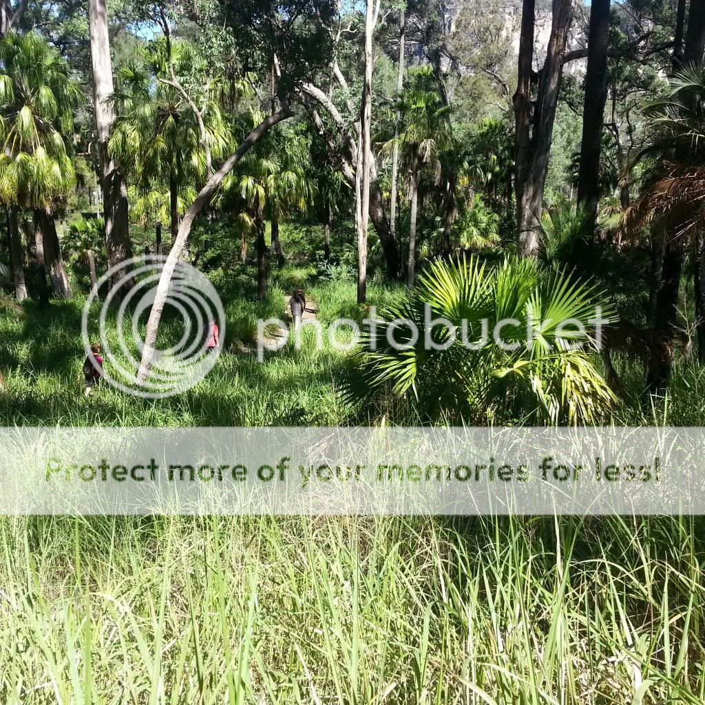 Carnarvon Gorge – Boolimba Bluff Walk (20 April 2014) | Transventure